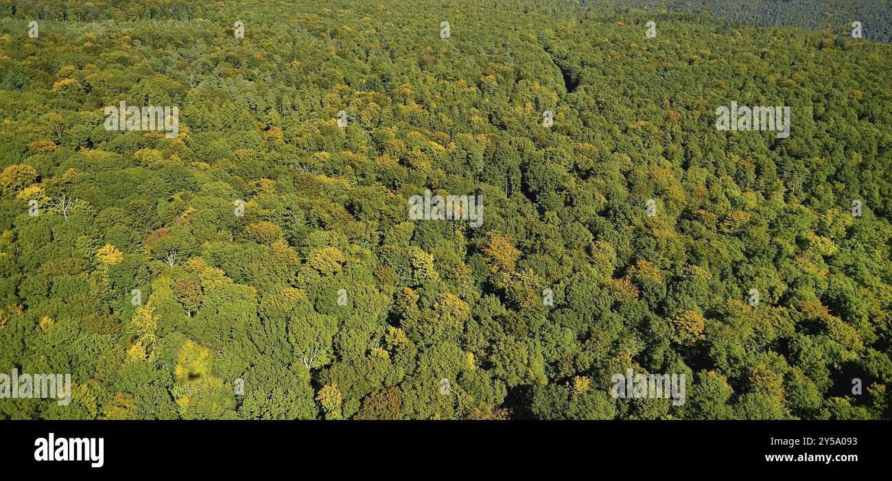 Aerial view of the Spessart forest area Stock Photo - Alamy