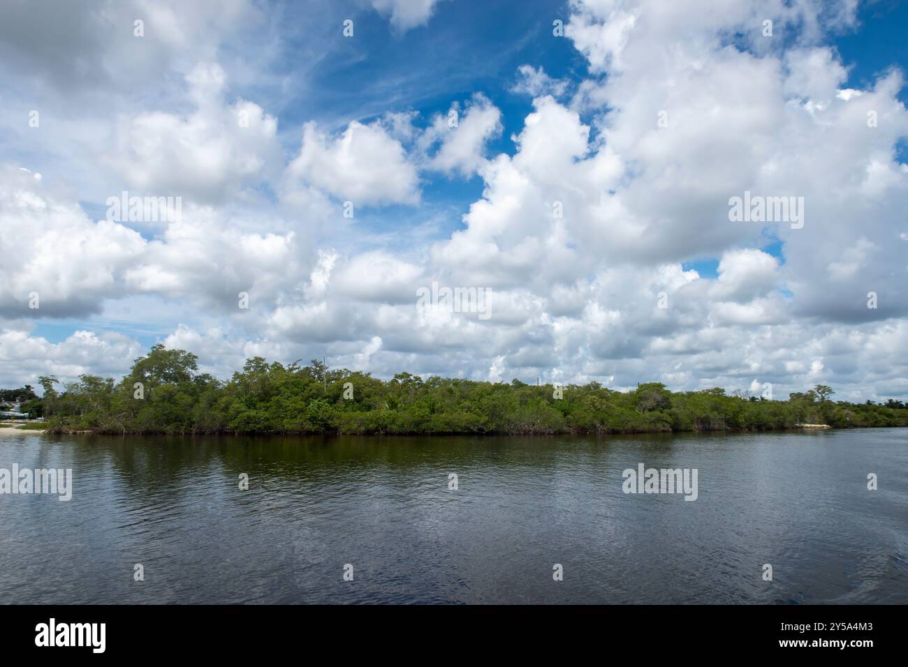 The mangroves of Fullerton Island in Jupiter, Florida, USA Stock Photo ...