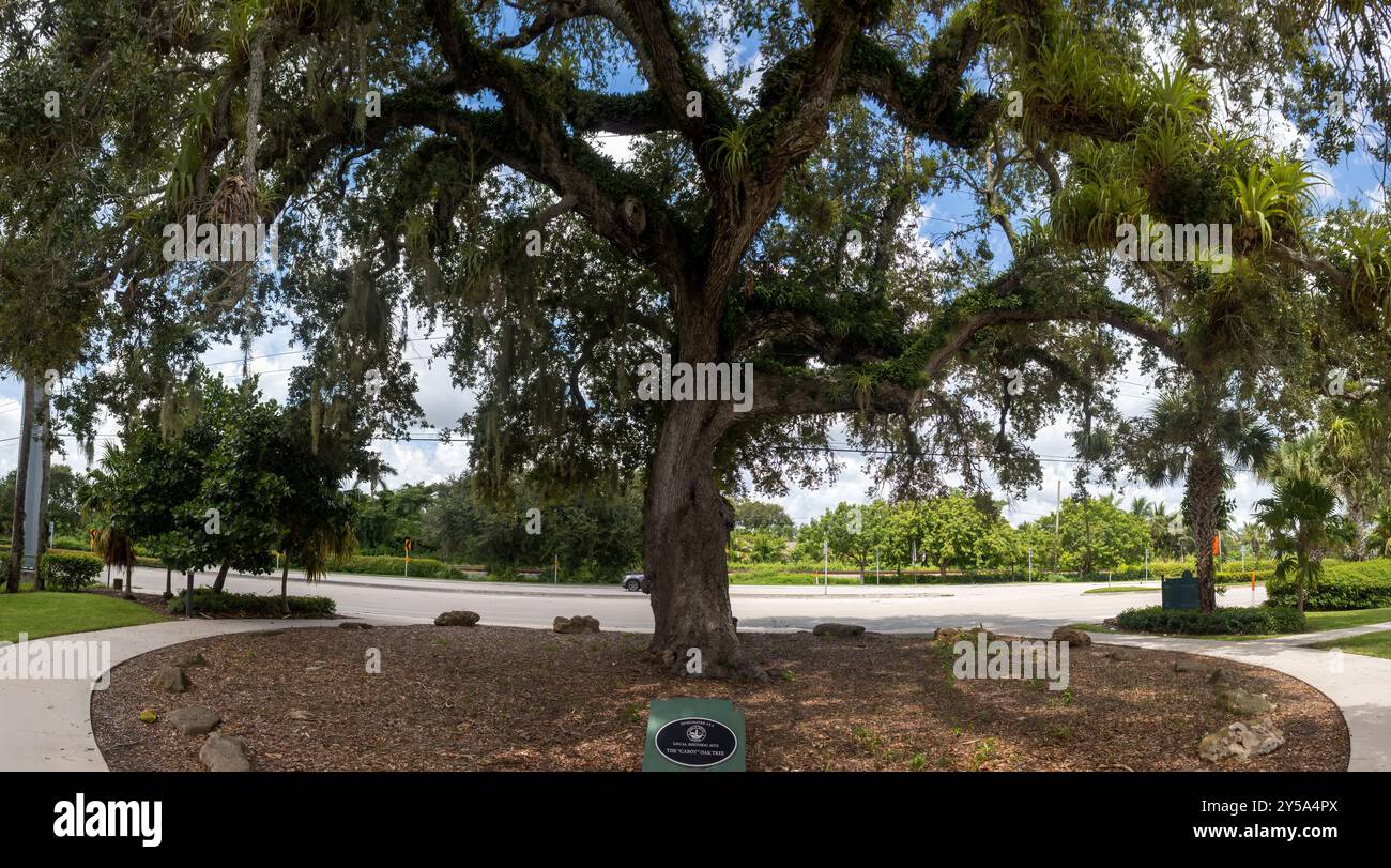 The 200 year old oak tree in Sawfish Park in Jupiter, Florida, USA ...