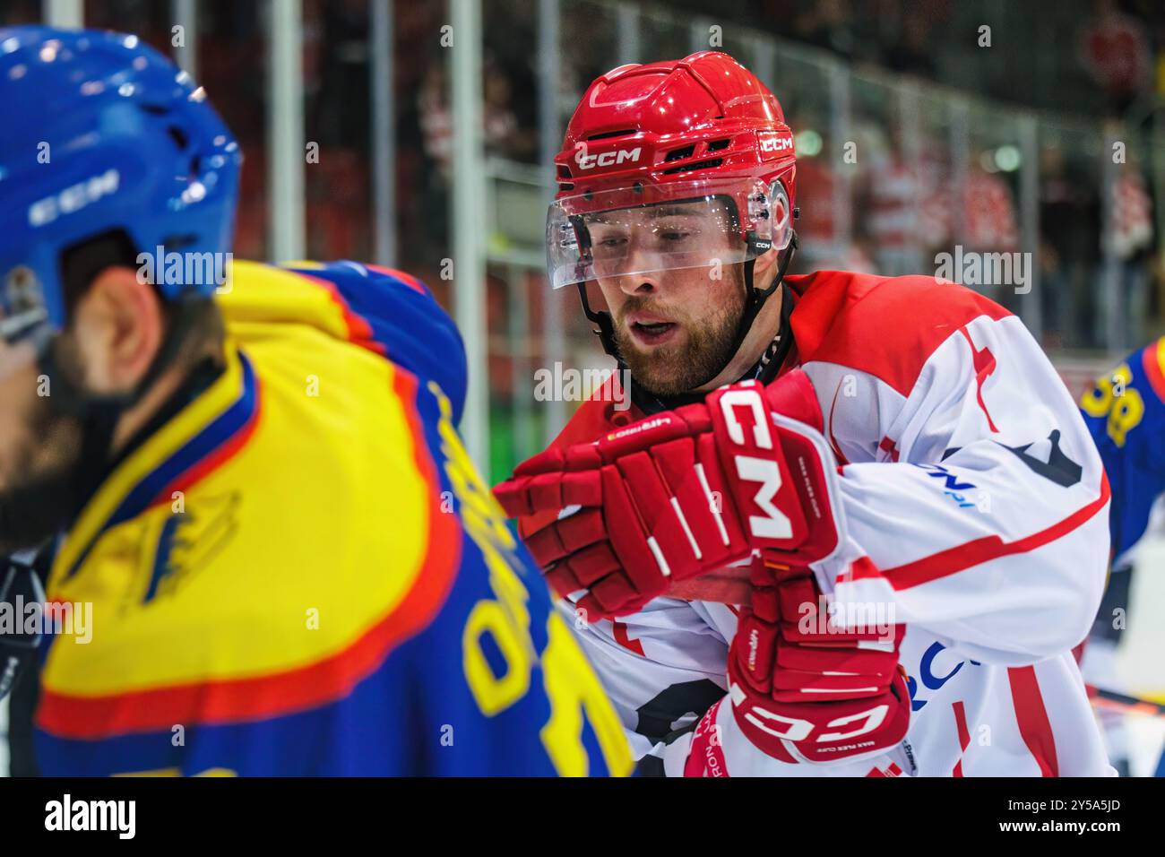 Tim wahlgren hi-res stock photography and images - Alamy