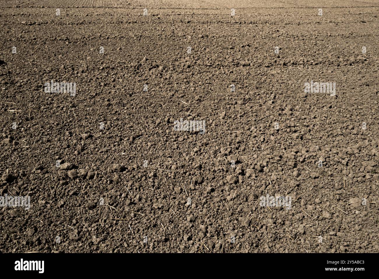 Soil texture background for gardening. Soil as background. Organic ...