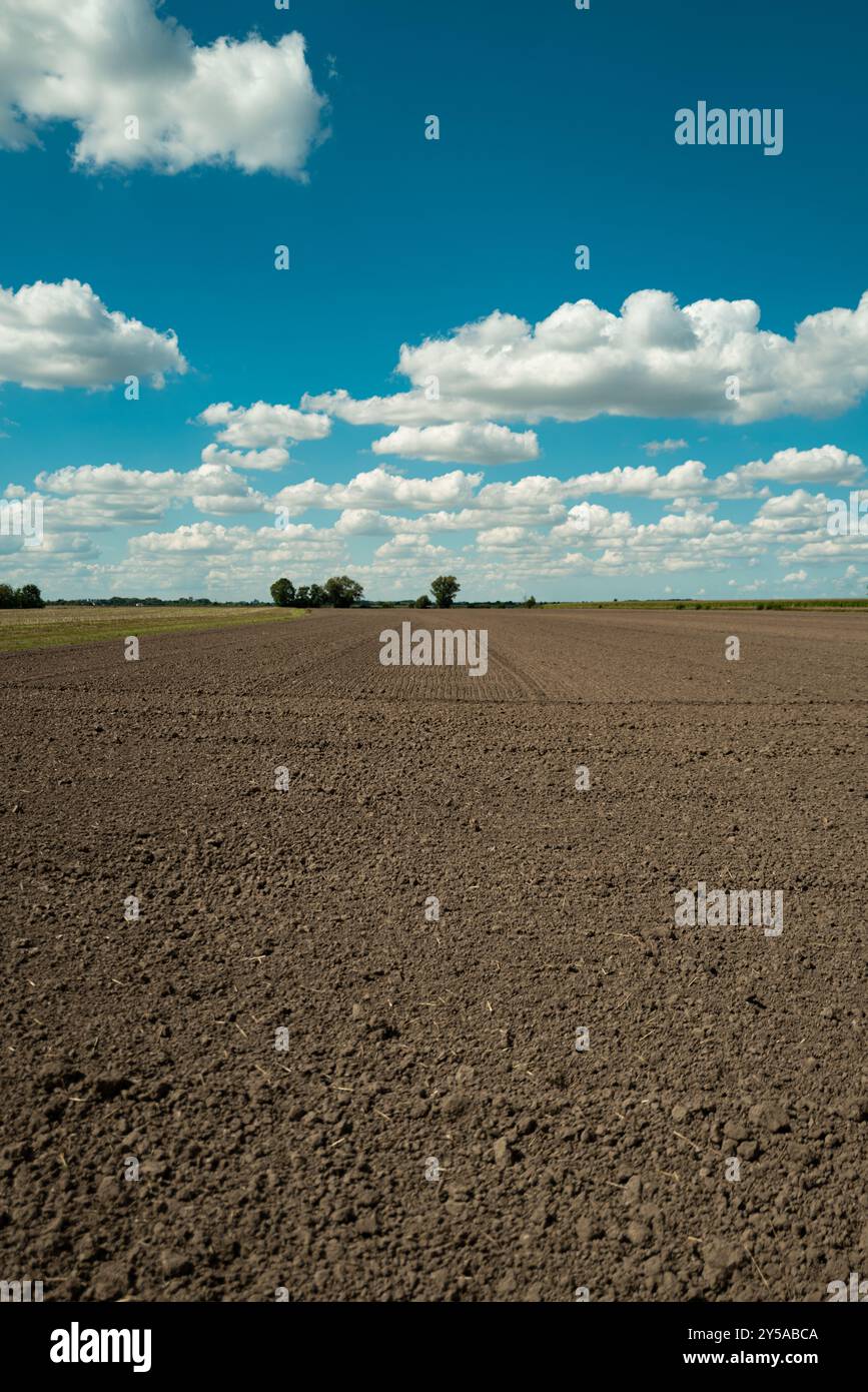 Soil texture background for gardening. Organic gardening. Agriculture ...