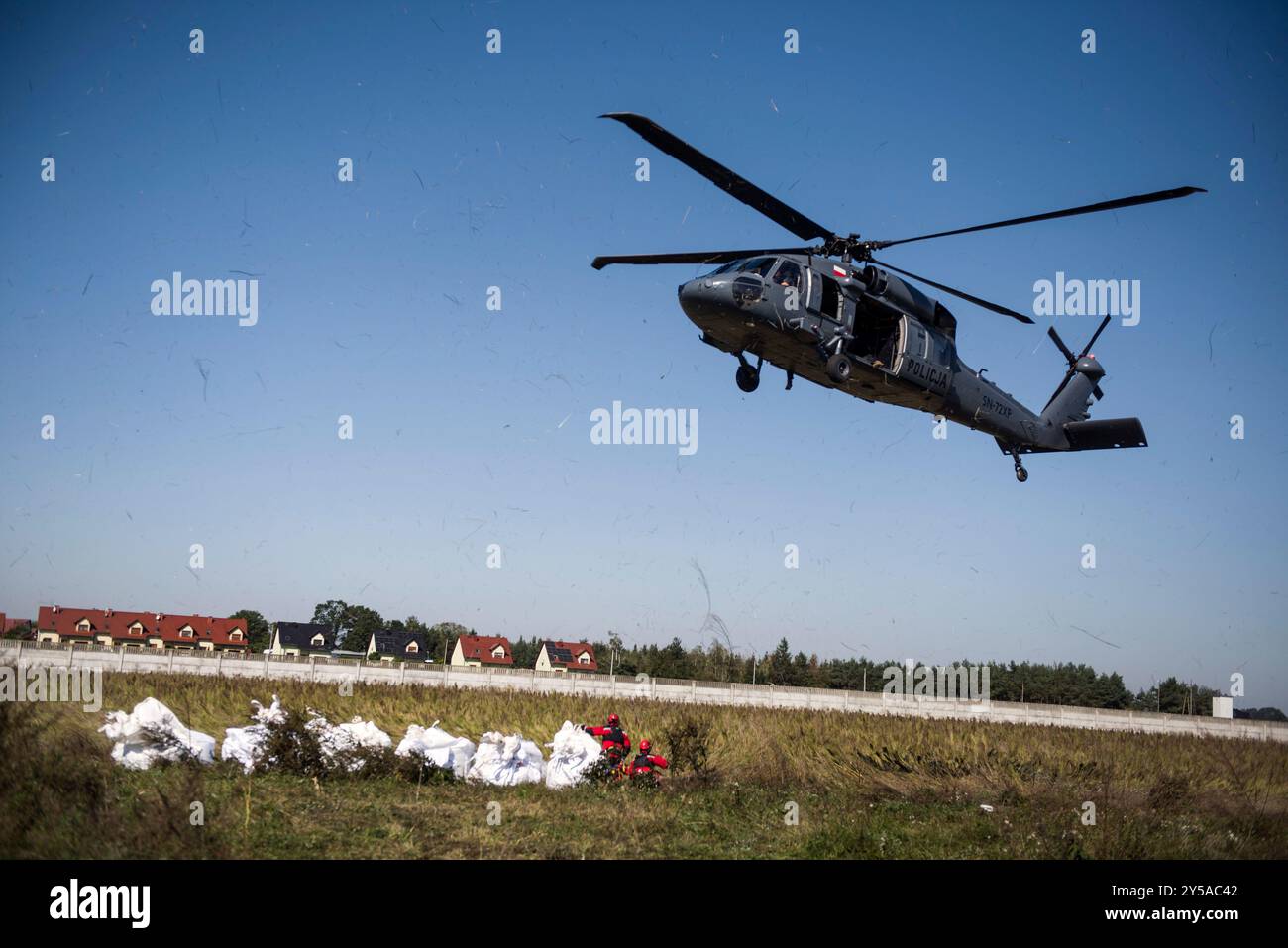 Black nysa hi-res stock photography and images - Alamy