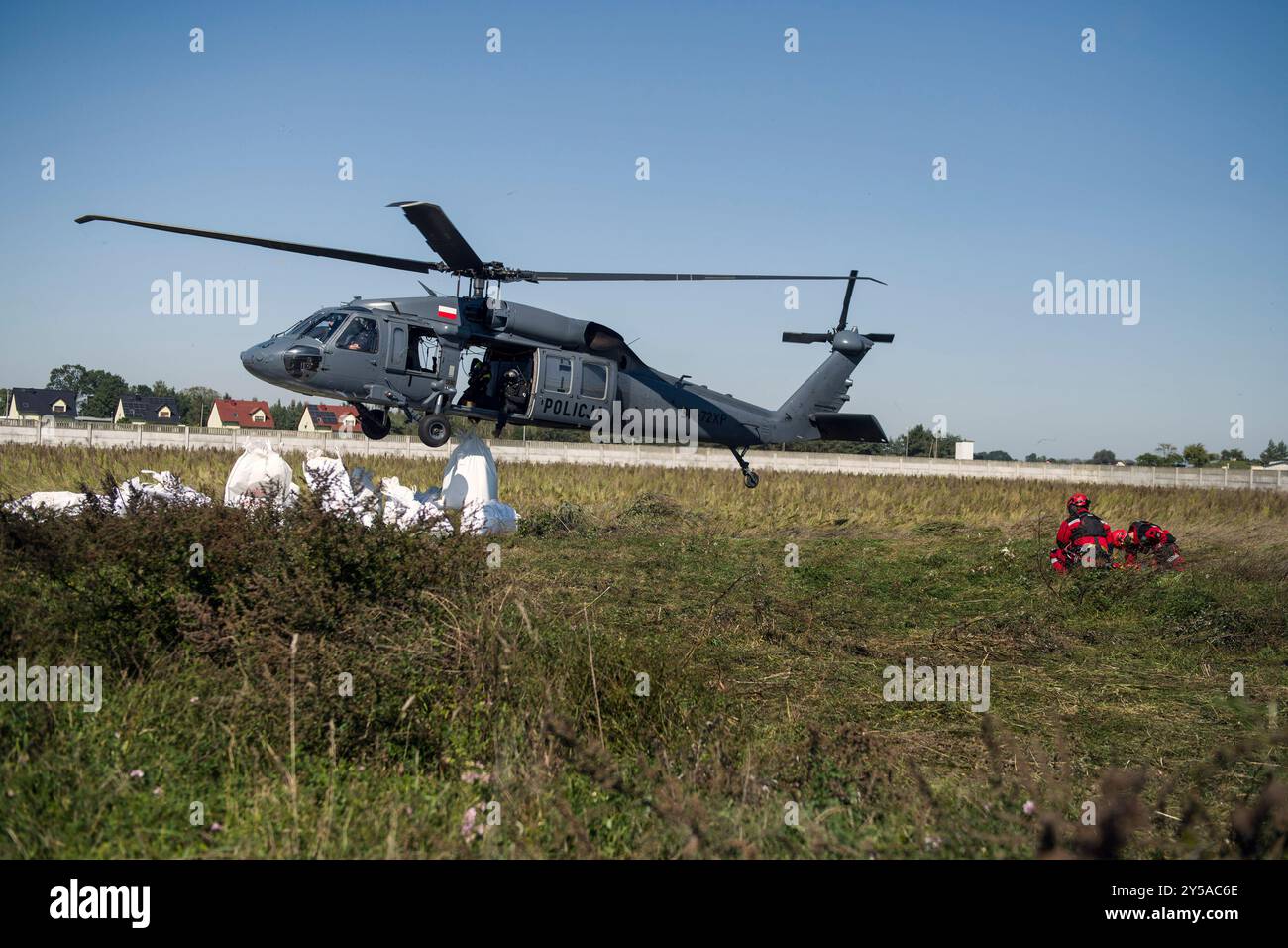 Black nysa hi-res stock photography and images - Alamy