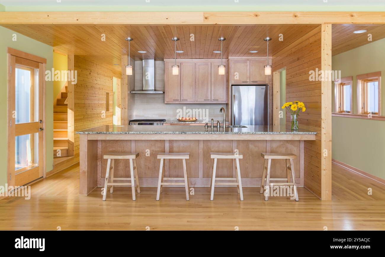 Modern kitchen with maple walls, floor, ceiling and cabinets Stock ...