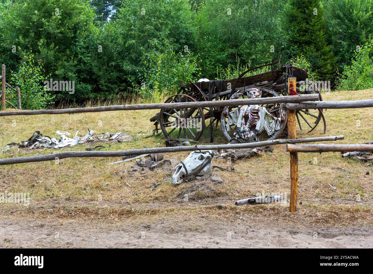 Wrecked wagon with horse and human skeleton Stock Photo - Alamy