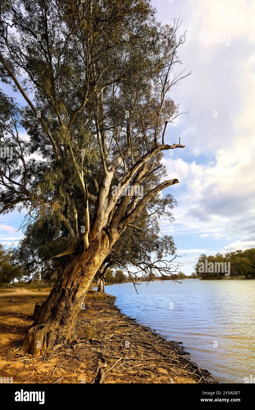 Murray river, Ned's corner, Victoria Australia Stock Photo - Alamy