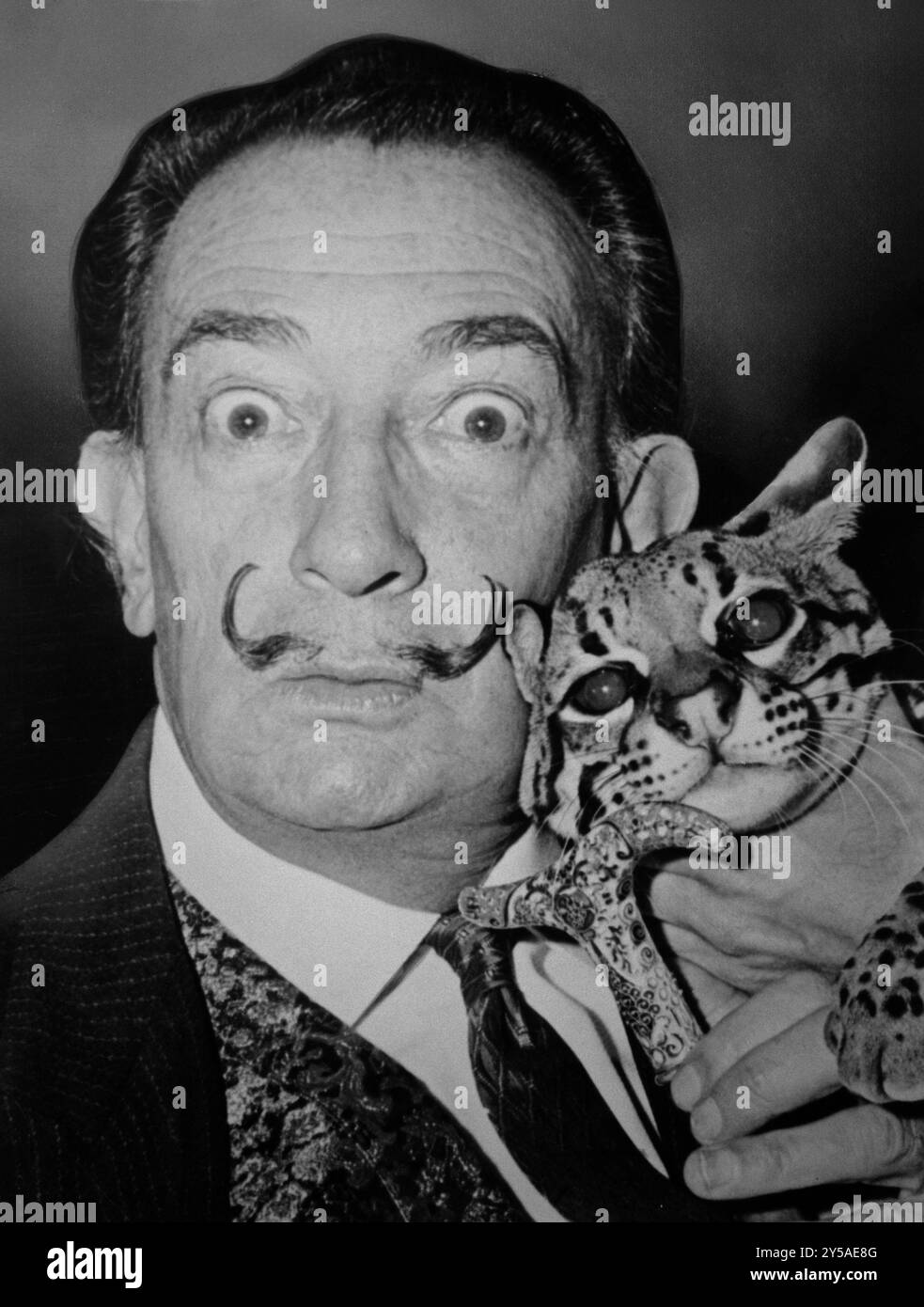 In a playful moment, Salvador Dali holds his ocelot close while ...