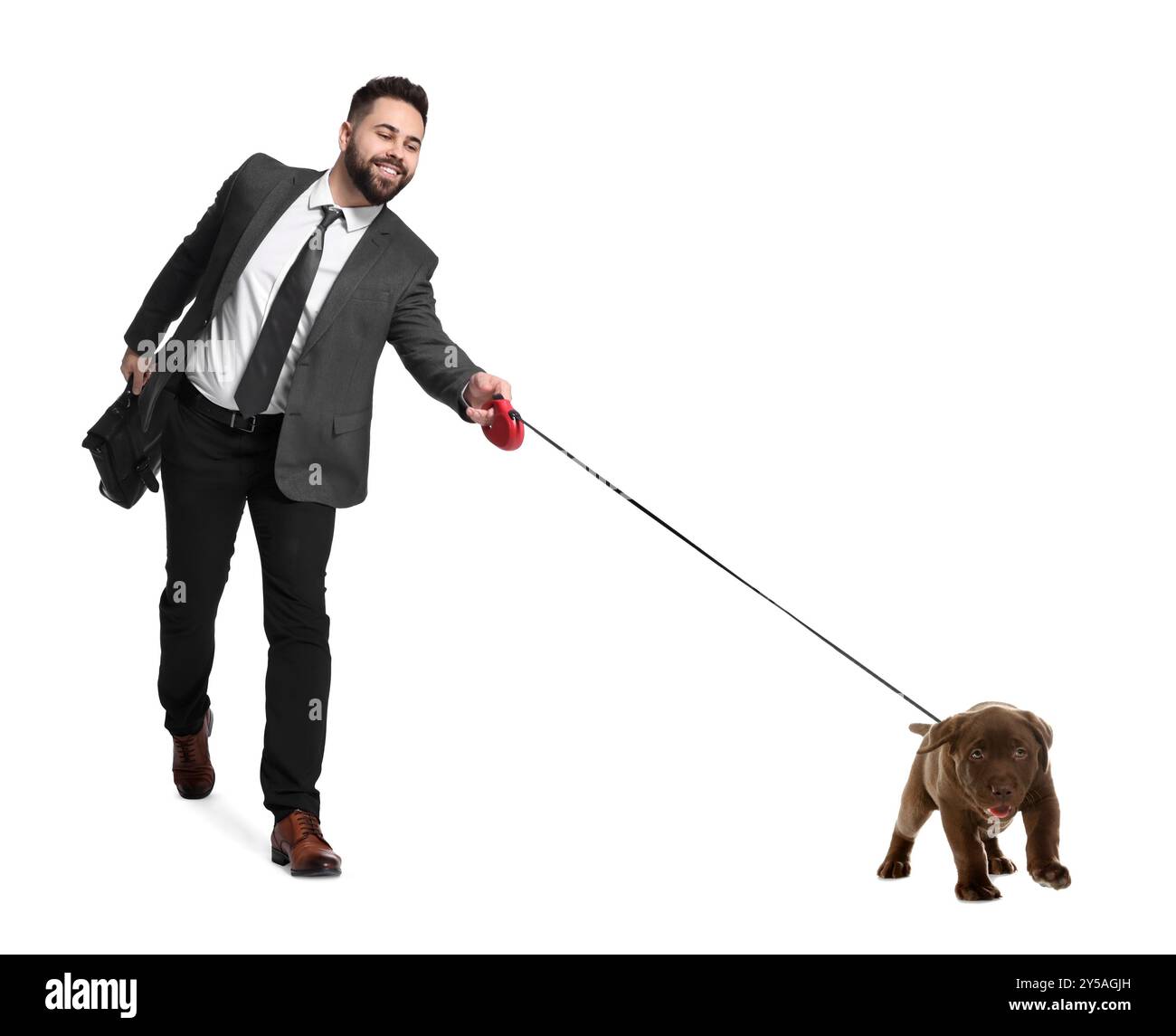 Young man walking his dog on white background Stock Photo - Alamy