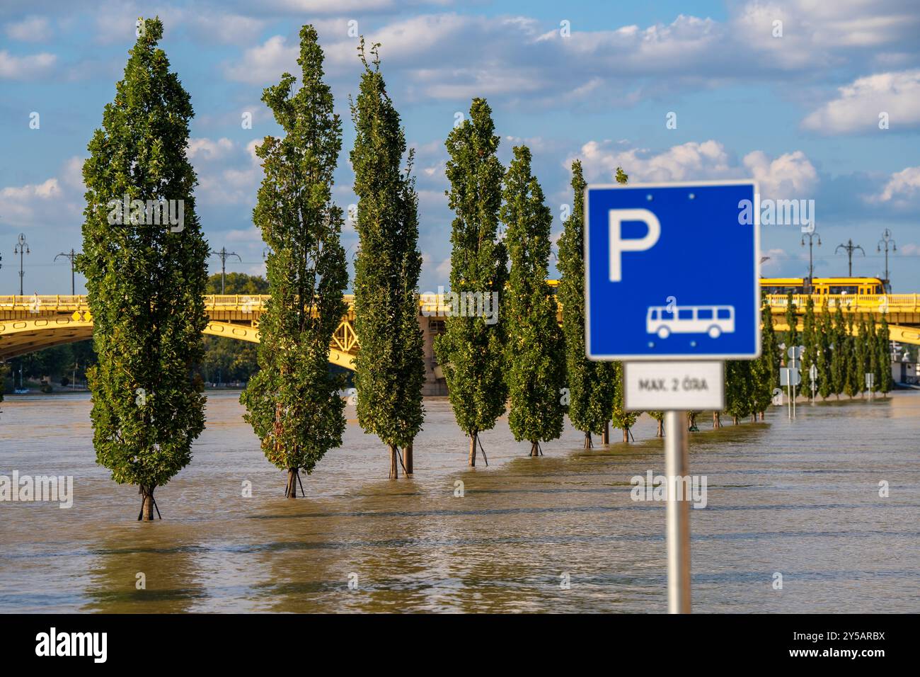 Budapest, Hungary - September 19, 2024: Submerged Trees Along the ...