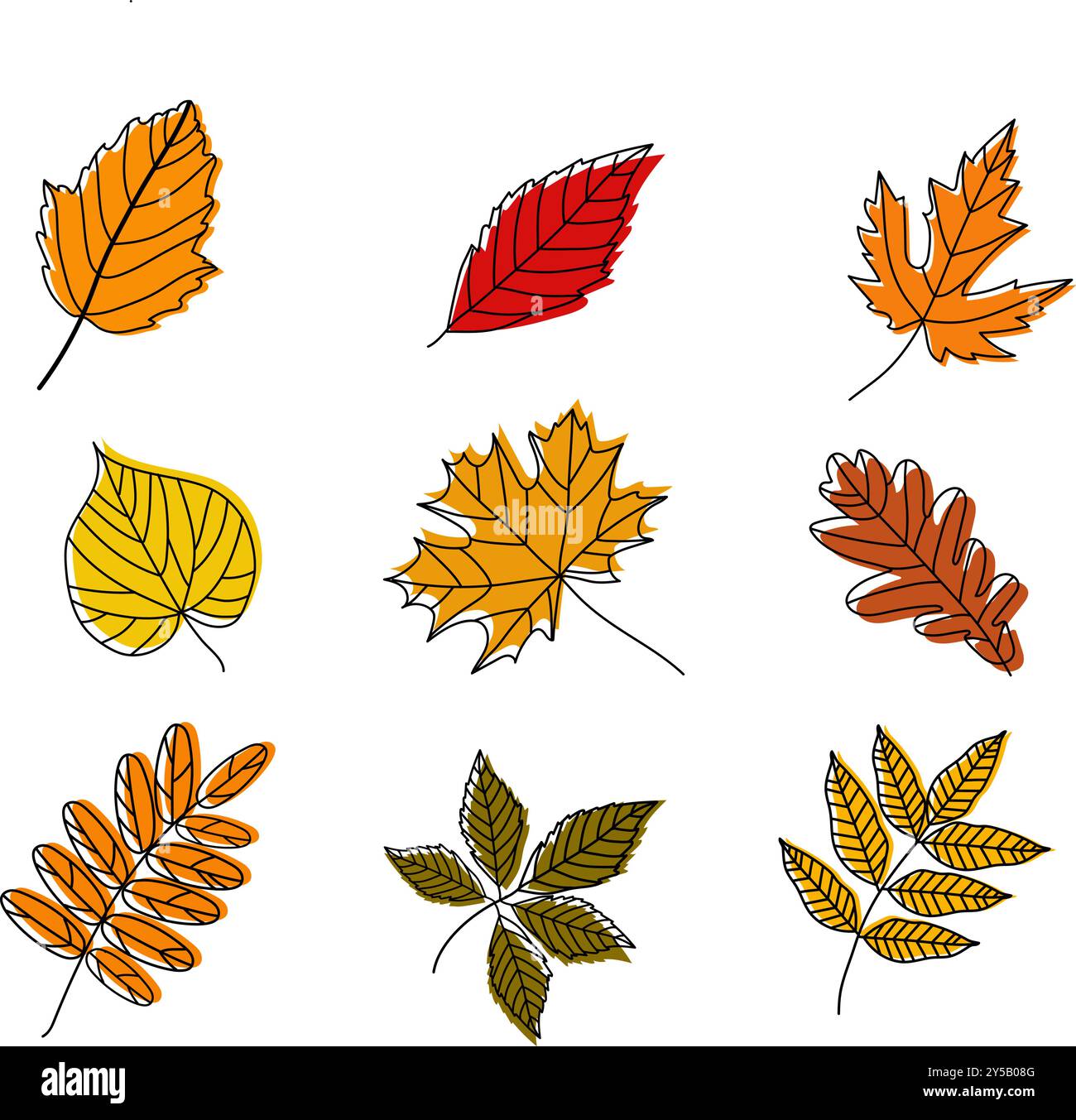 Set of autumn leaves Stock Vector Image & Art - Alamy