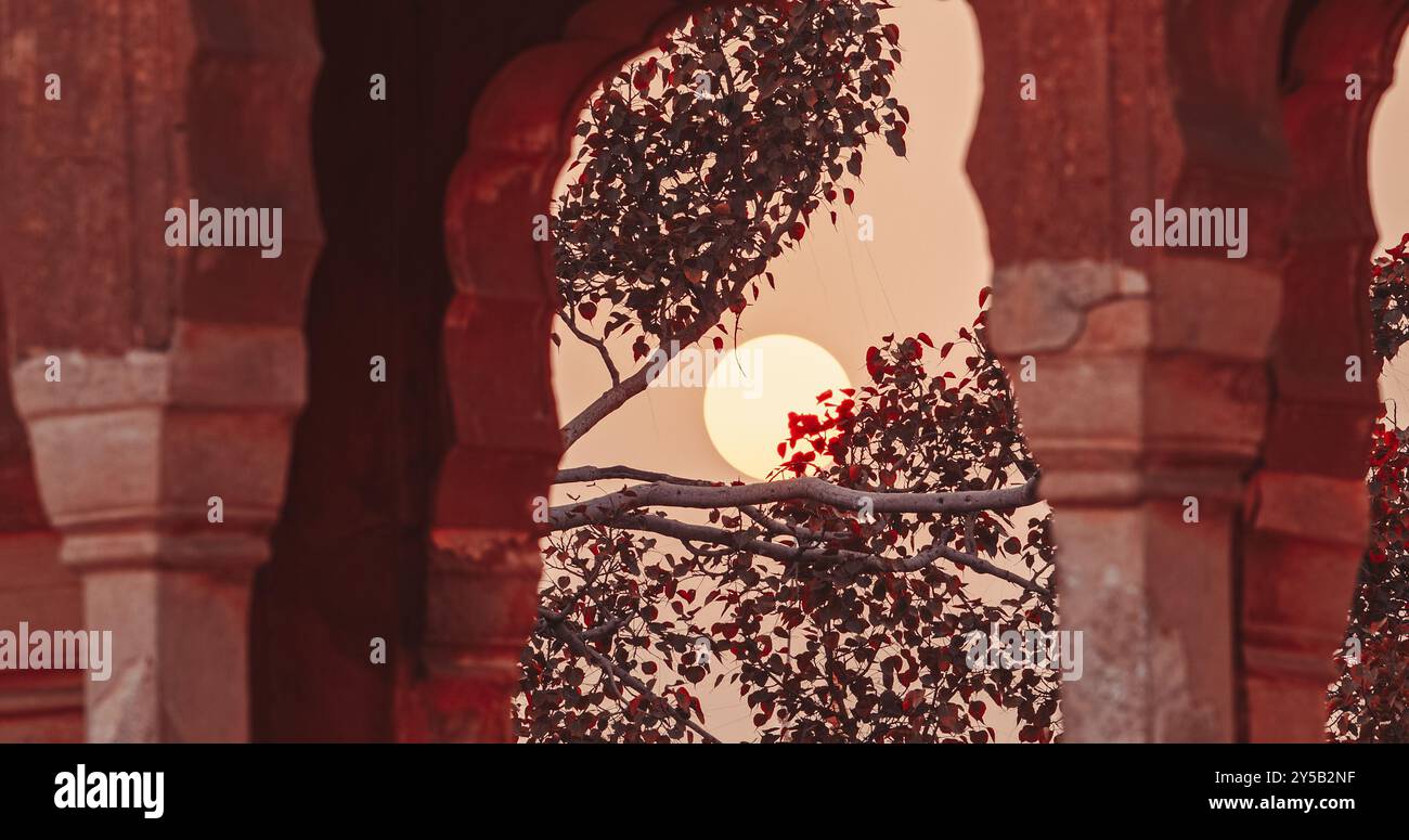 Sunset Time In Jaipur, Rajasthan, India. Setting Sun. Sun Illuminates ...