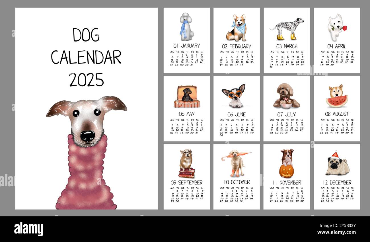 2025 Annual Calendar animals. Set of 12 month illustration. Hand Drawn ...
