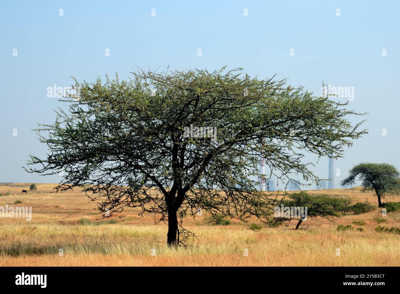 Beautiful landscape around the countryside, Sinnar, near Nashik ...