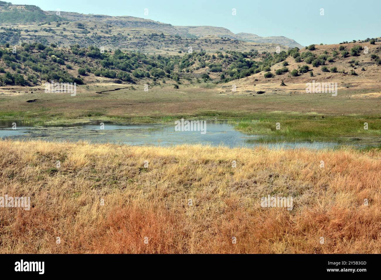 Beautiful landscape around the countryside, Sinnar, near Nashik ...