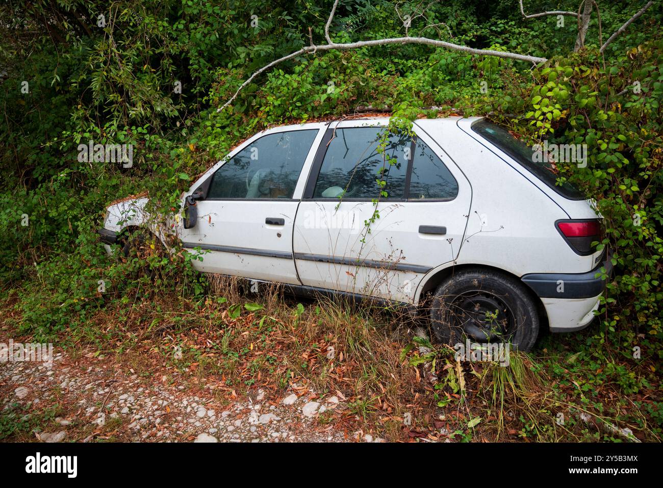 old car slowly being overgrown with vegetation - concept of nature reclaiming its own Stock ...