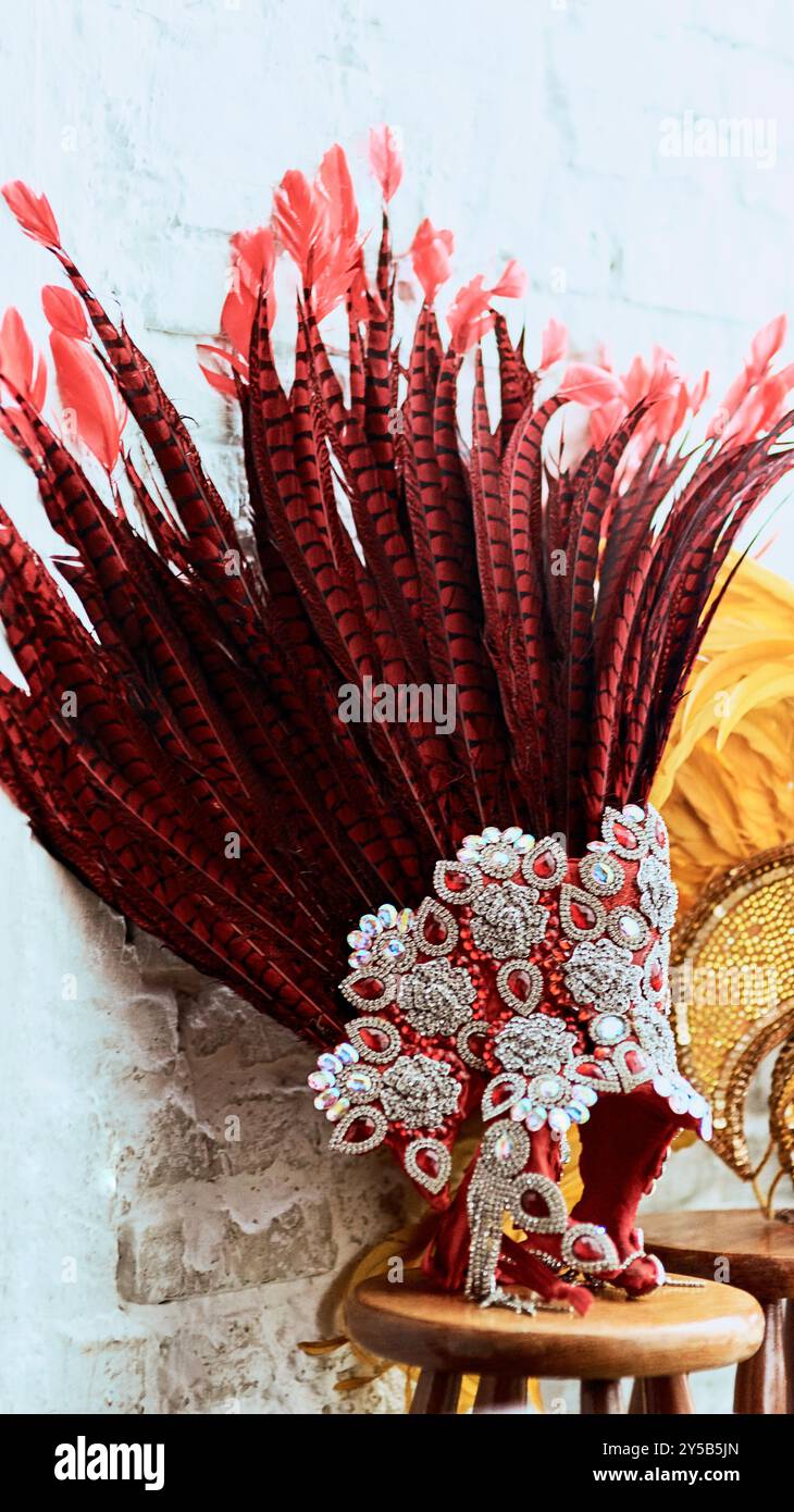 Culture, mask and samba costume for carnival, celebration and creative ...