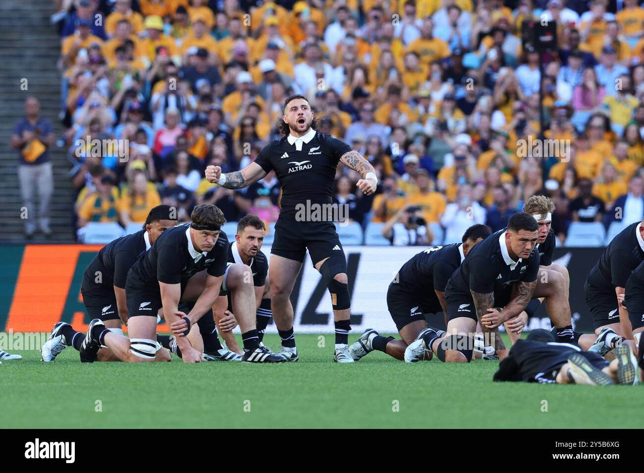 Sydney, Australia. 21st Sep, 2024. All Blacks perform the traditional ...