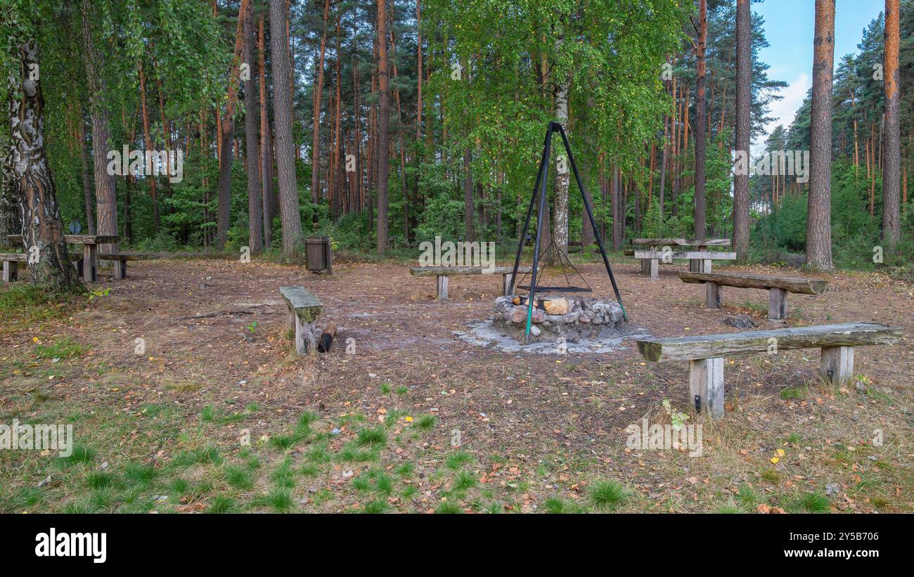 A resting area in the pine forest. Bonfire fenced by stones and wooden ...