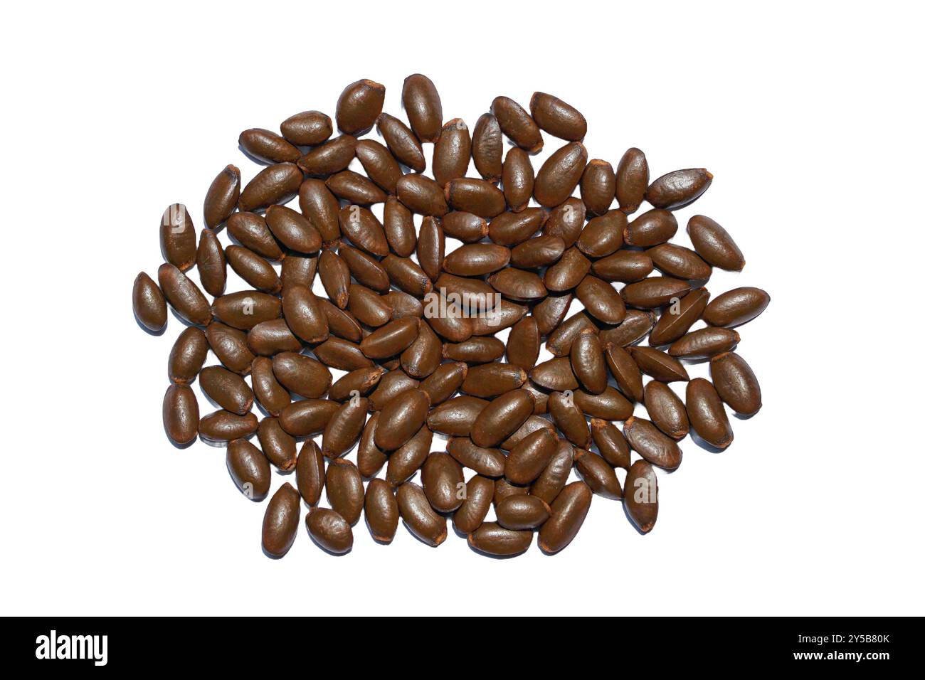 Sugar apple seeds isolated on white background, fruit seed, top view ...