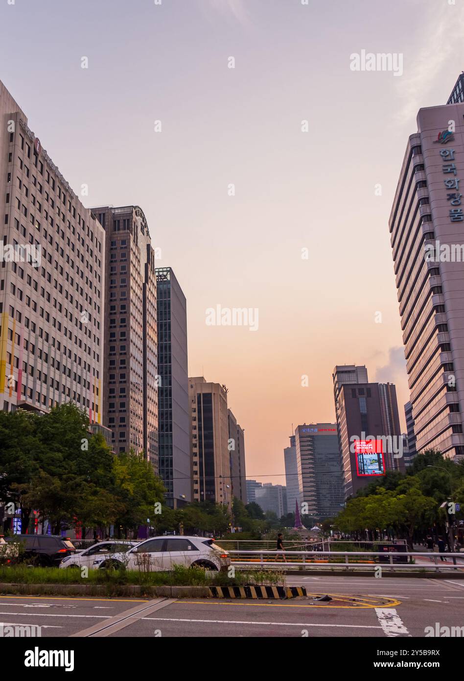 Urban greenery at Cheonggyecheon Canal in Seoul, Korea Stock Photo - Alamy
