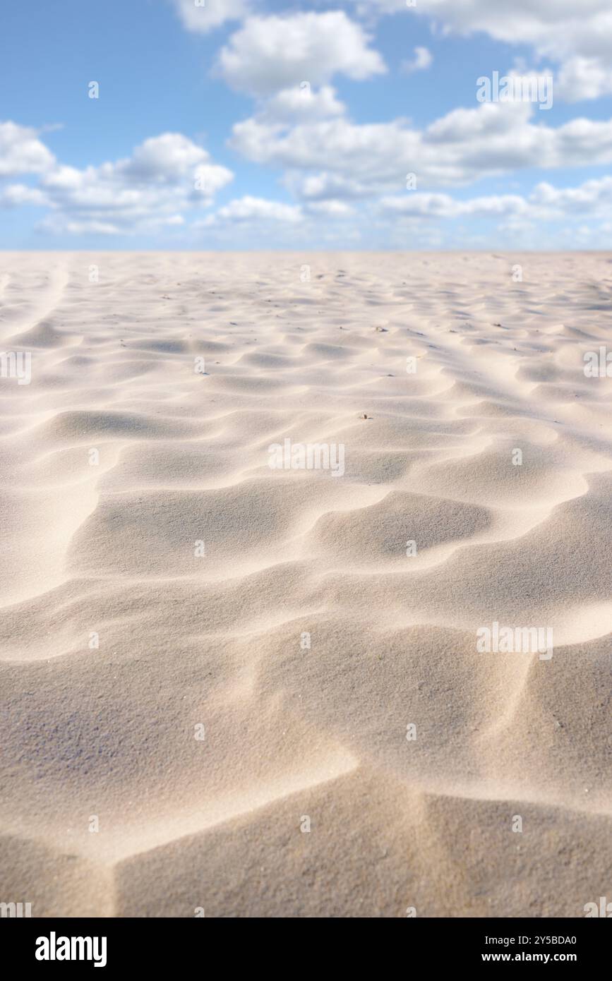 Outdoor, sand dunes and environment at beach for nature reservation and ...