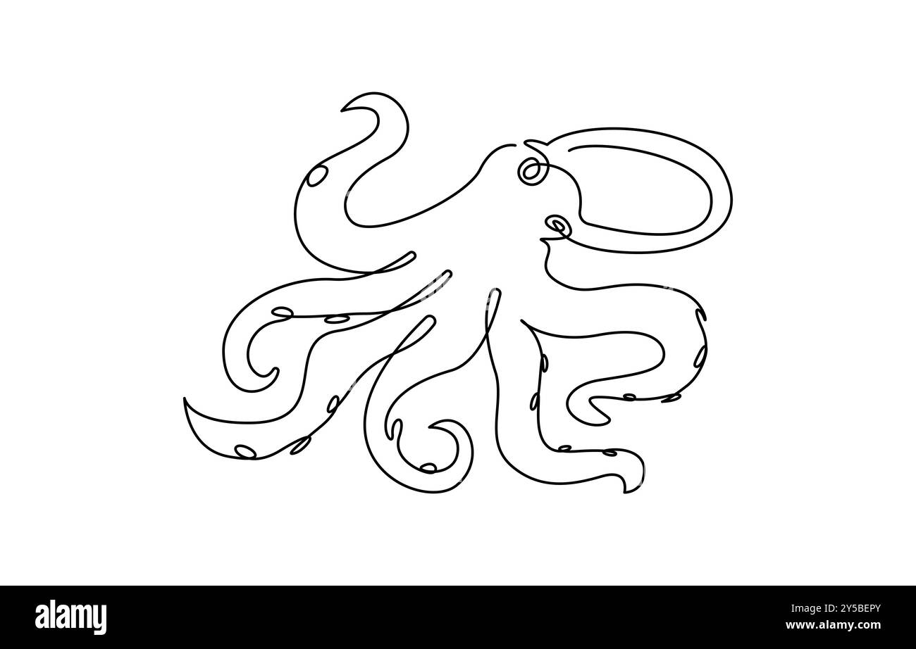 Continuous line drawing of octopus. One line of cephalopod. Marine ...