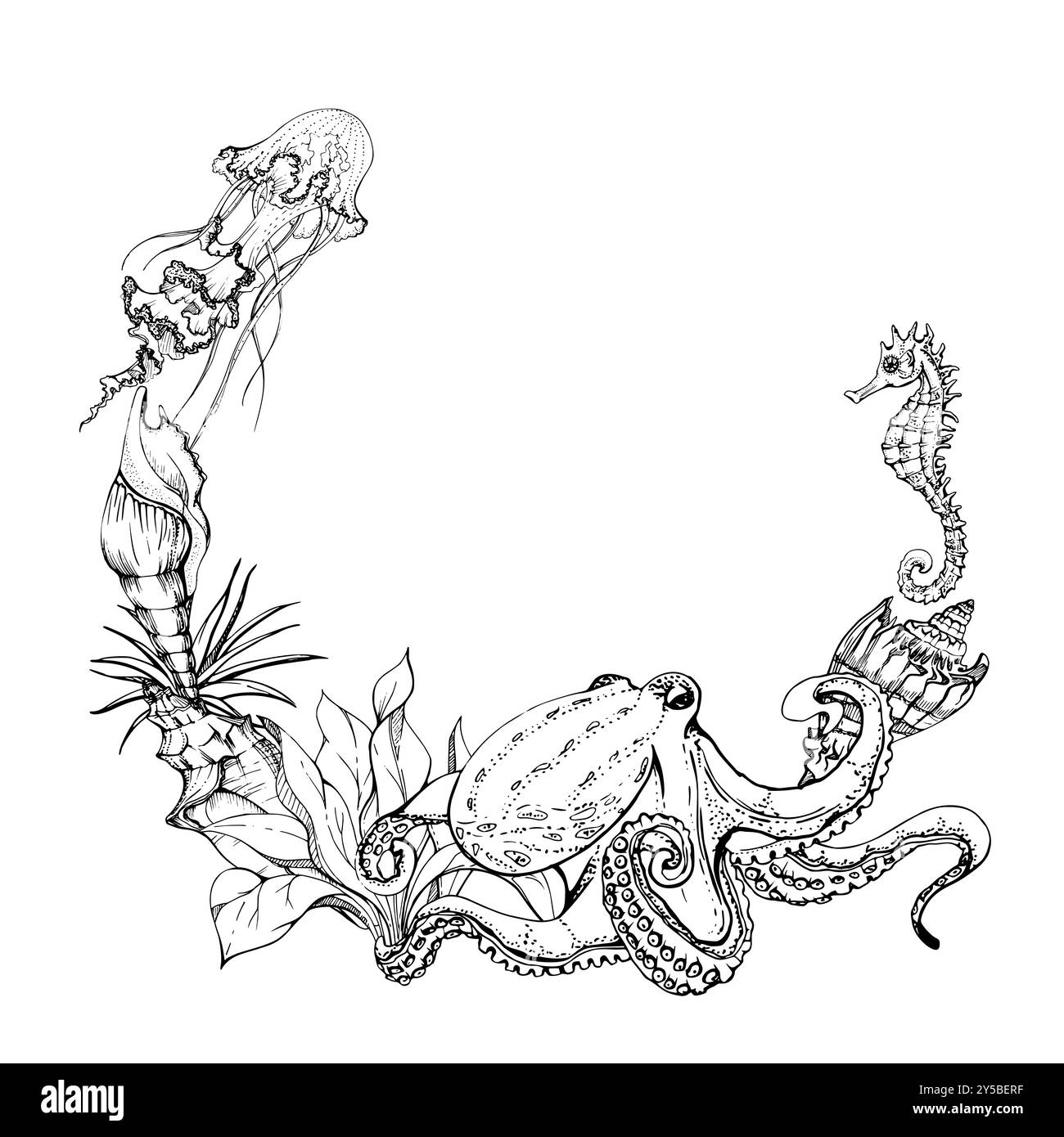 Marine life, sea ocean underwater creatures fish, shells algae seaweed ...