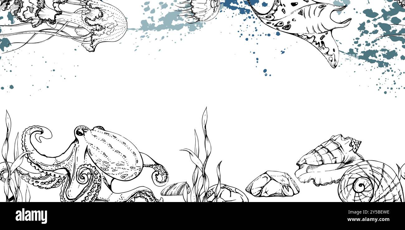 Marine life, sea ocean underwater creatures fish, shells algae seaweed ...