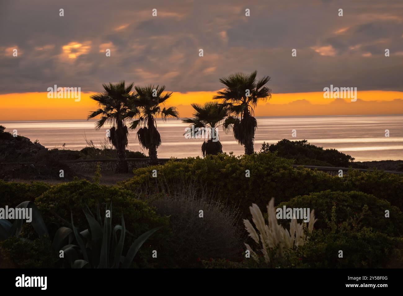 Beautiful sunset beach trees hi-res stock photography and images - Alamy