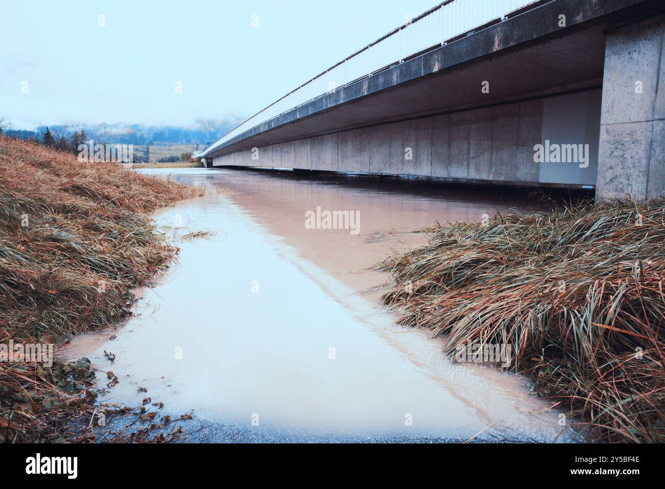 Flooded riverbank beneath large concrete bridge, high water level ...