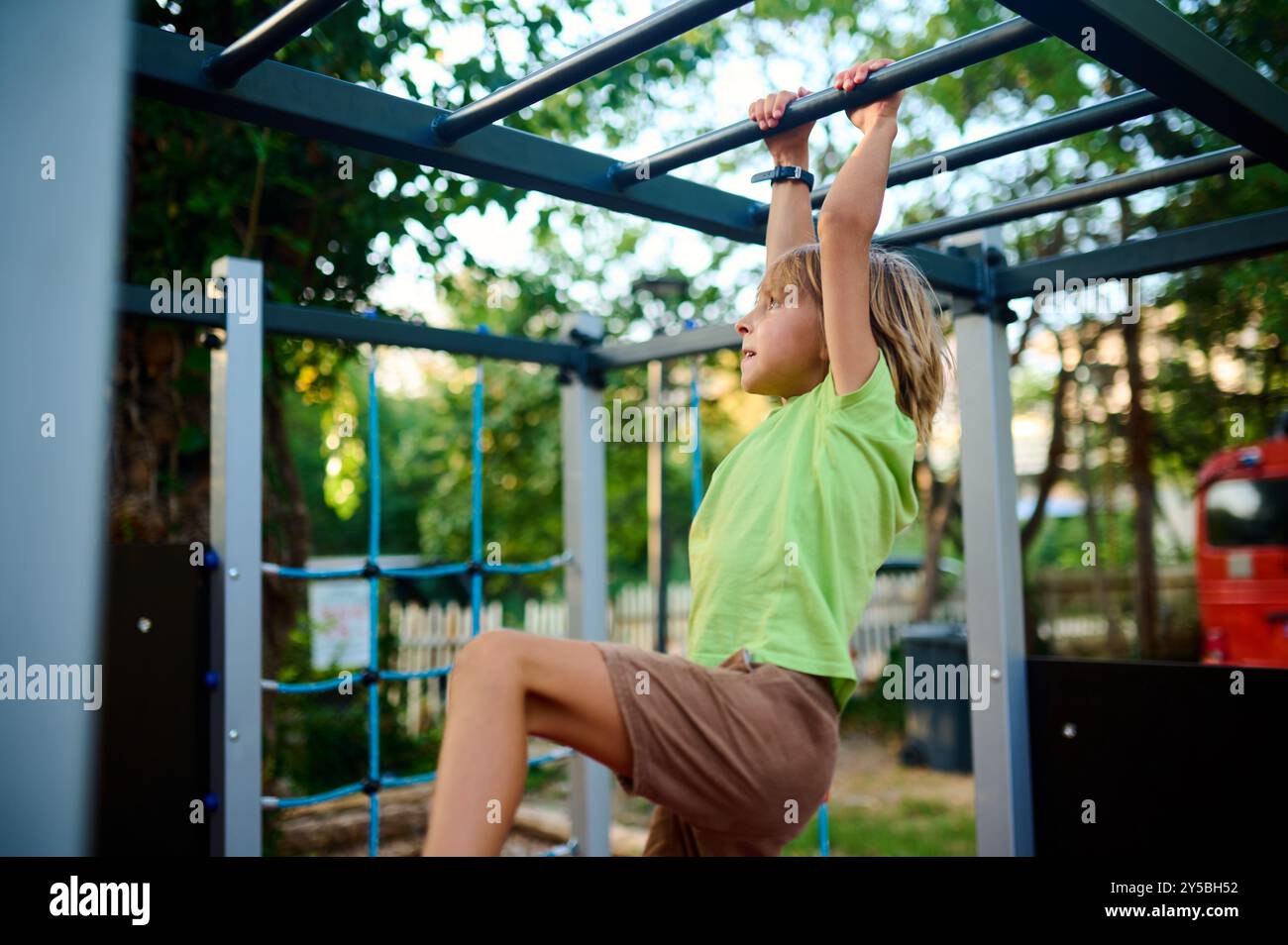 Monkey social structure hi-res stock photography and images - Alamy