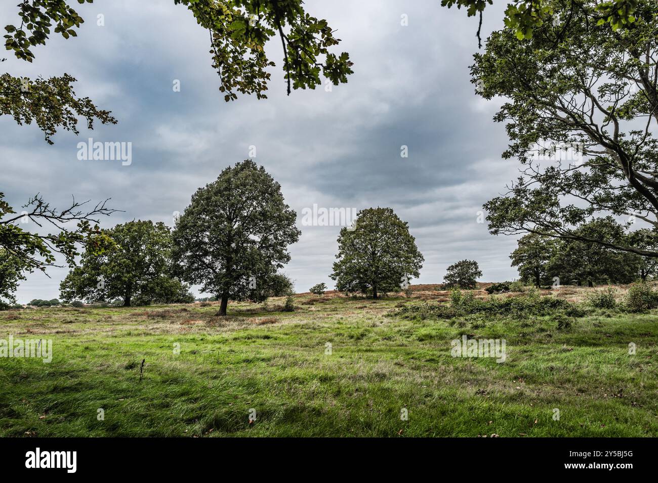 Hald lake in Dollerup hills in Denmark Stock Photo - Alamy
