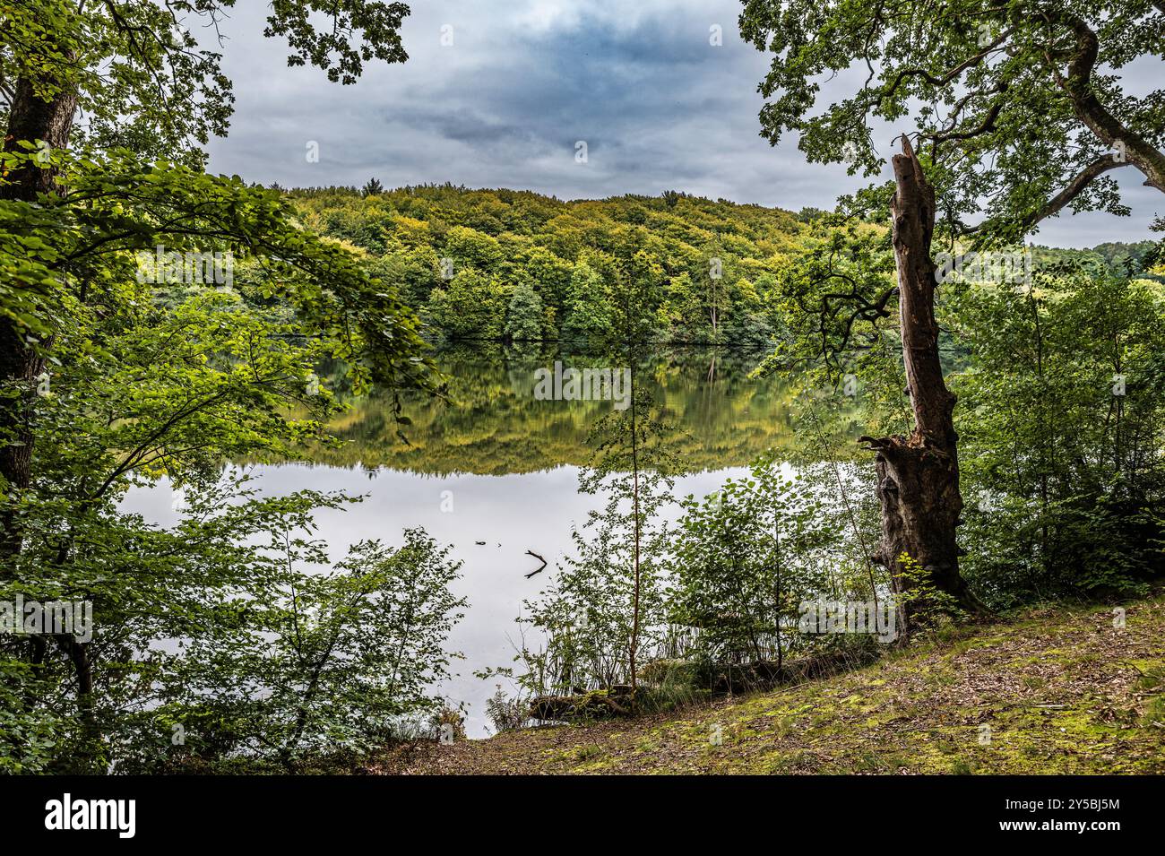 Hald lake in Dollerup hills in Denmark Stock Photo - Alamy