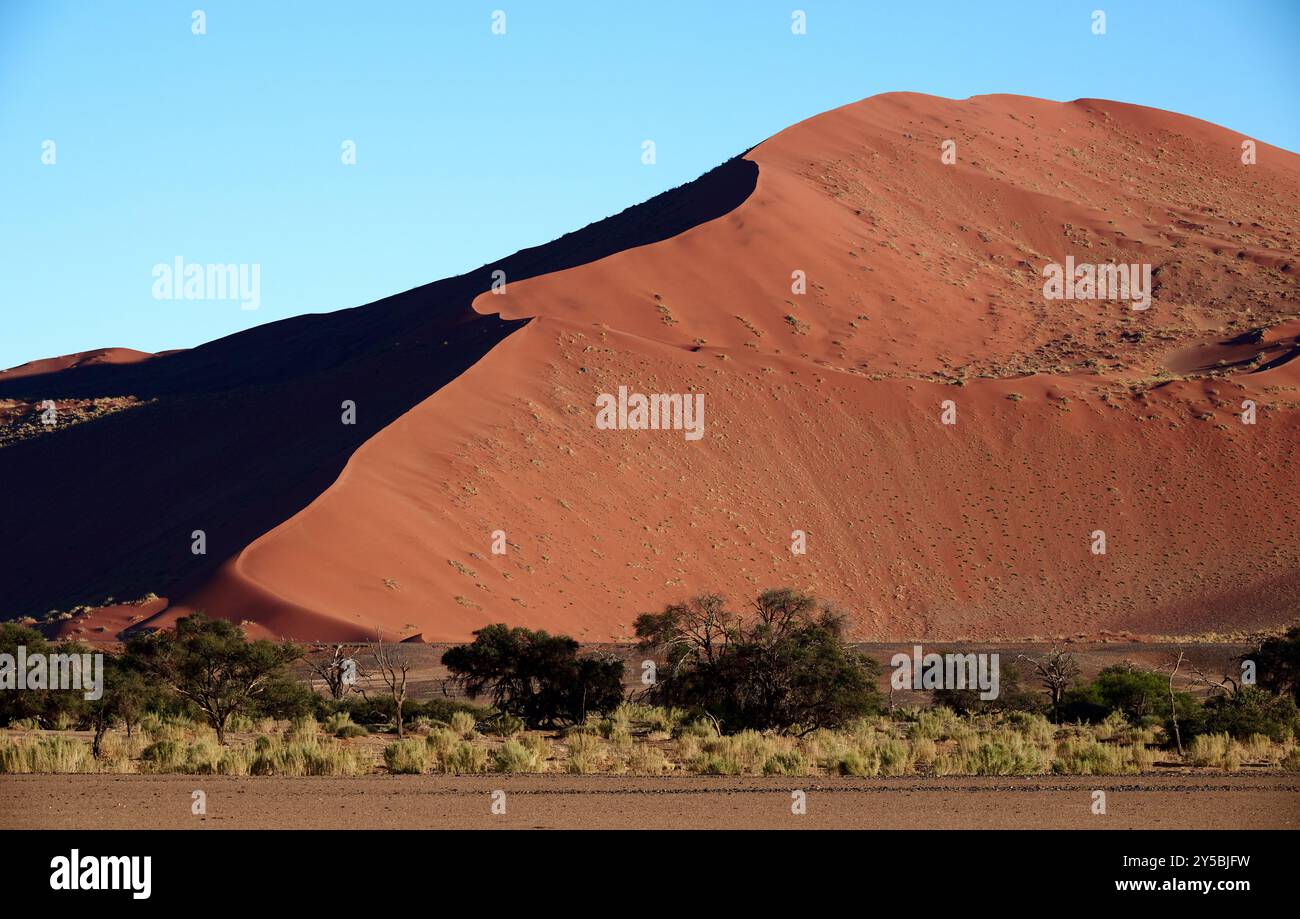The high red dunes of the Namib Desert are one of Namibia's great ...