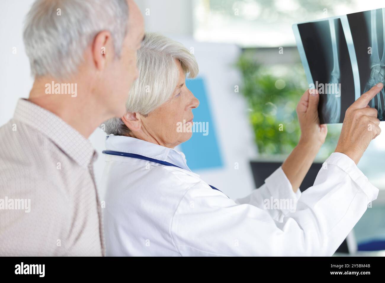 female doctor checking x-ray report Stock Photo - Alamy