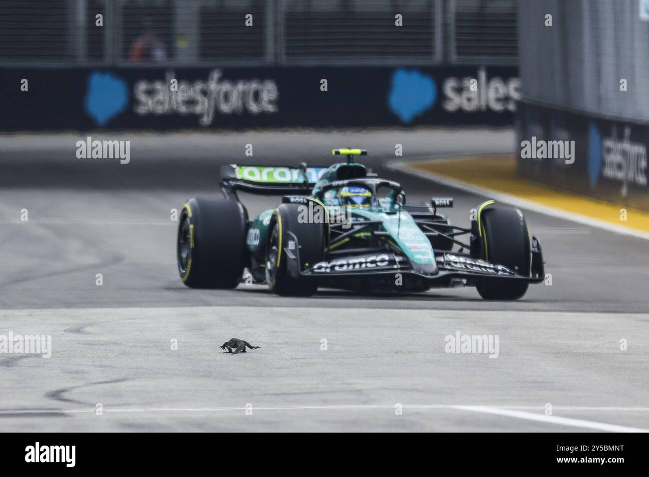 Singapore. 21st Sept 2024. Lizard on track, 14 ALONSO Fernando (spa ...