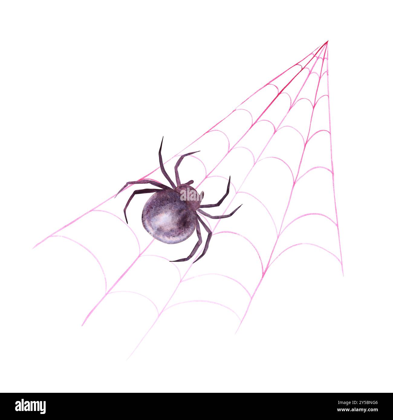 Black spider on web. Monochrome drawing of dangerous arthropod arachnid ...
