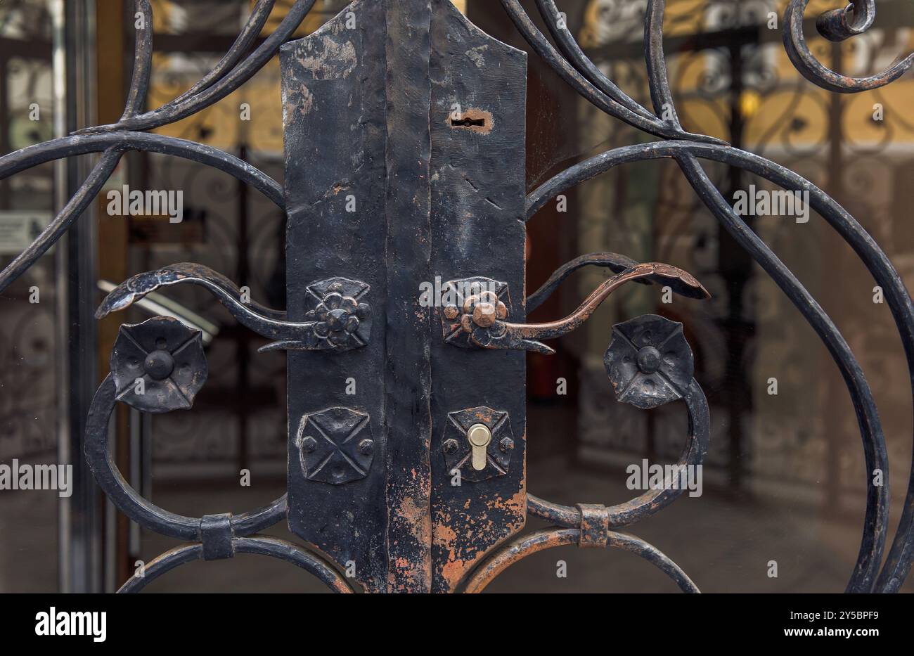 Wrought iron vintage gate featuring intricate design, ornamental ...