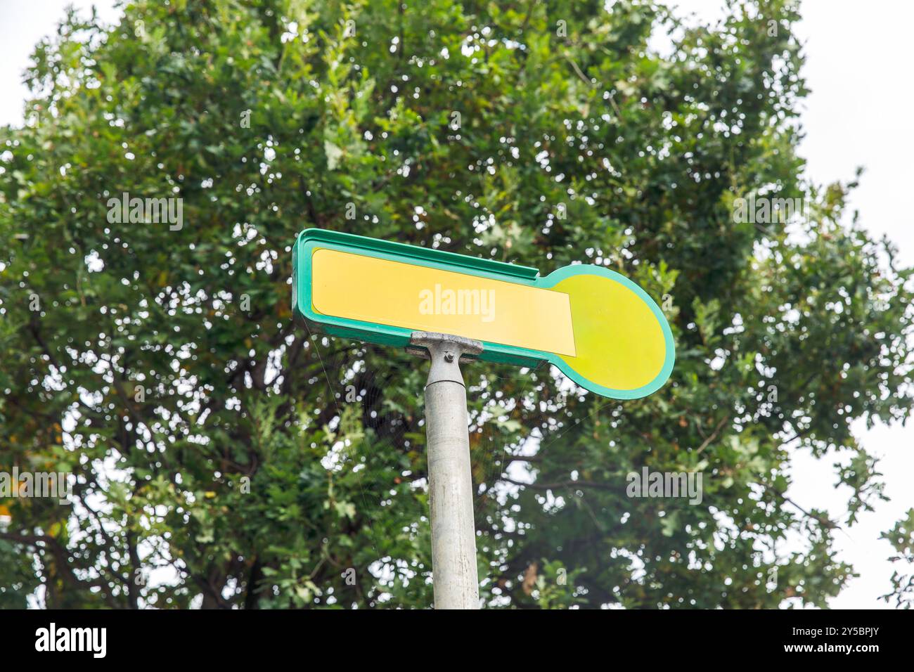 Yellow, green blank street sign on pole, background of lush green tree ...