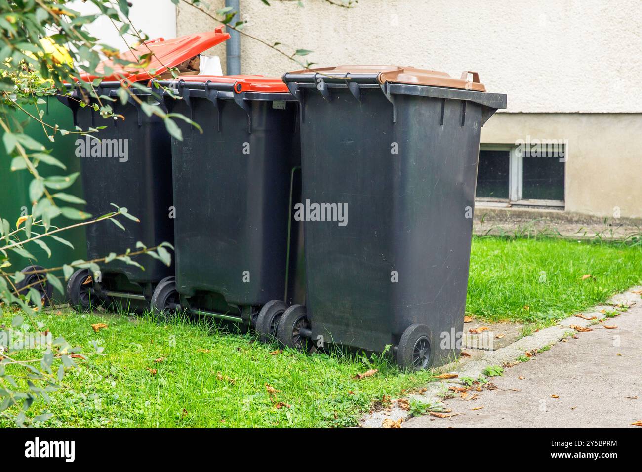 Trash bins outdoors, located on green grass next to an asphalt path, in ...