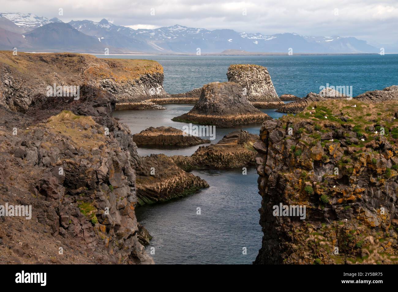 Arnarstapi Iceland, view along coast with bird colonies on cliff tops ...