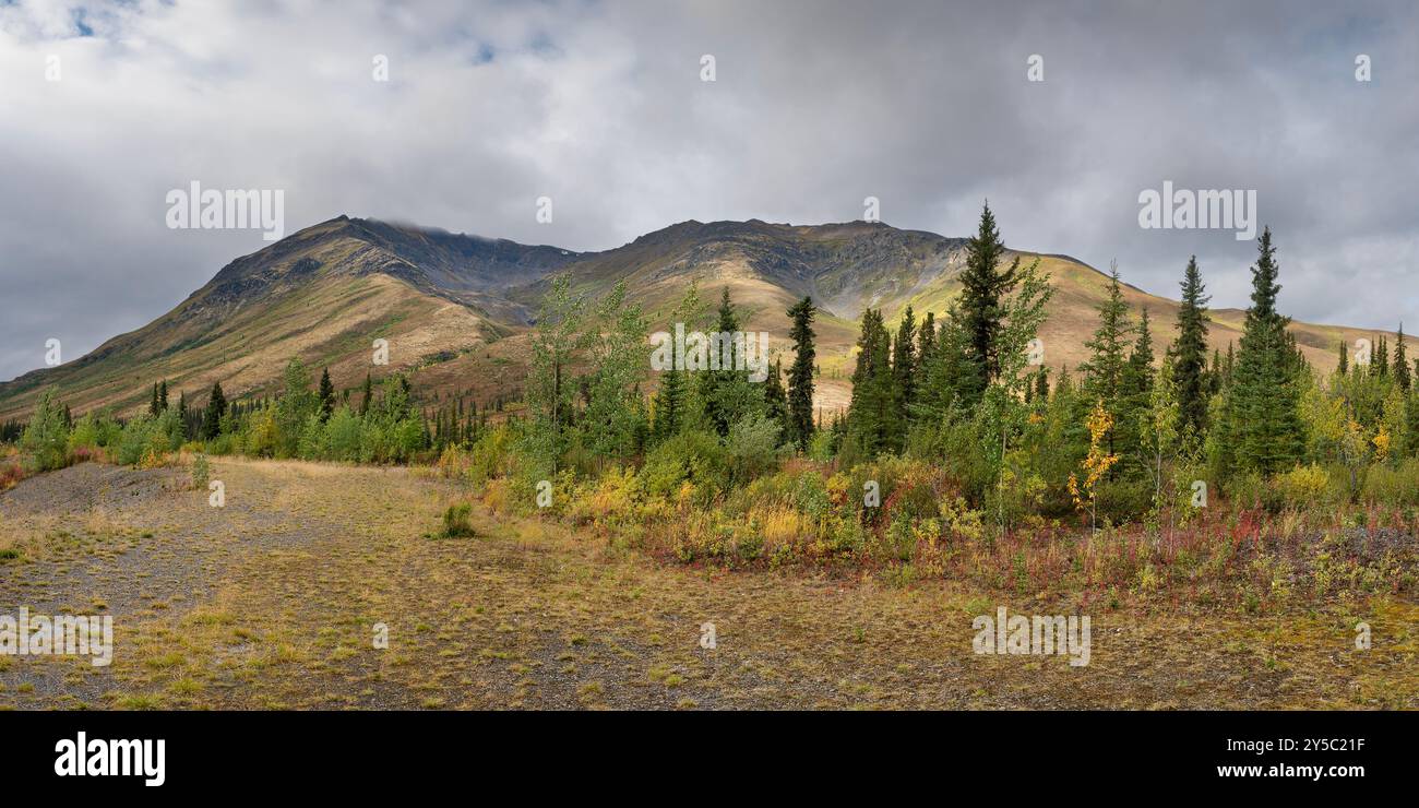 Mountains and trees in Tombstone Territorial Park, Yukon, Canada Stock ...