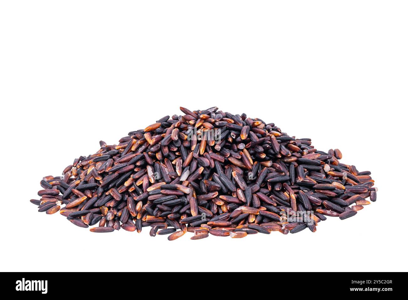 Closeup view pile of dark purple rice berry seeds, riceberry seeds ...