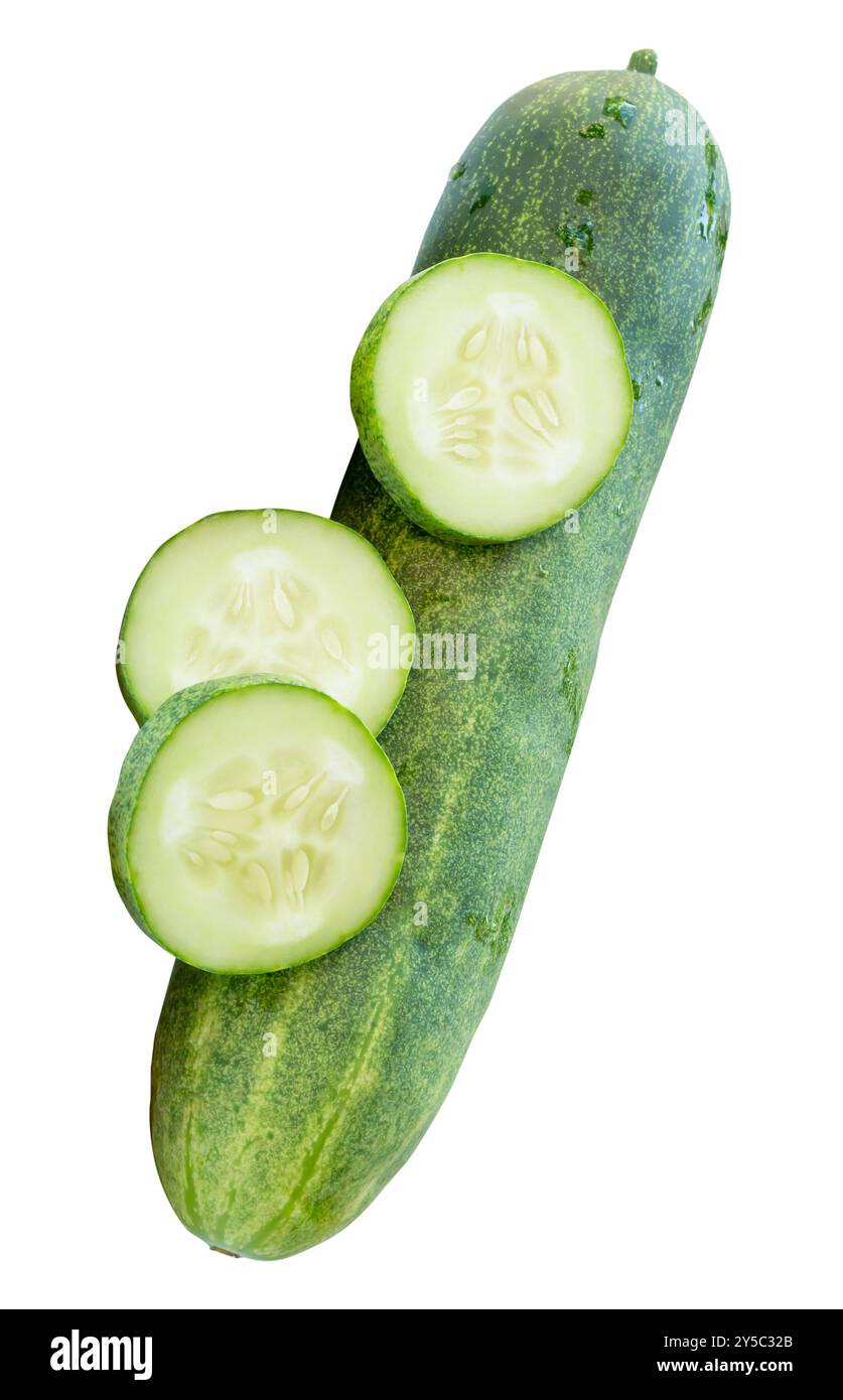Side view of fresh green cucumber with slices in circle shape in stack ...