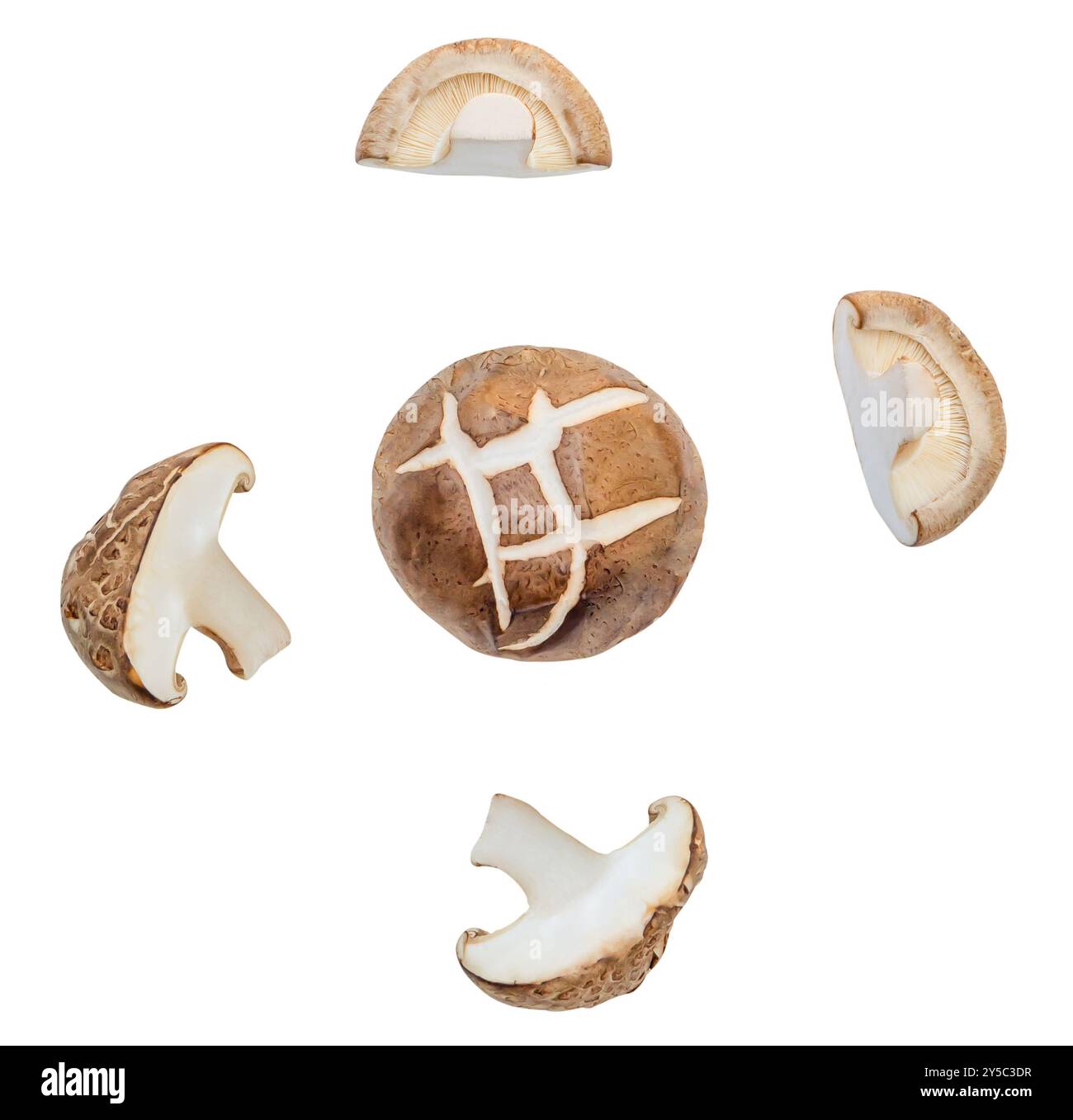 Top view set of shiitake mushroom with halves or slices is isolated on ...