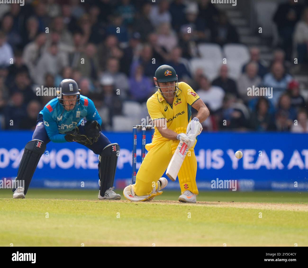 Cricket aaron hardie hi-res stock photography and images - Alamy