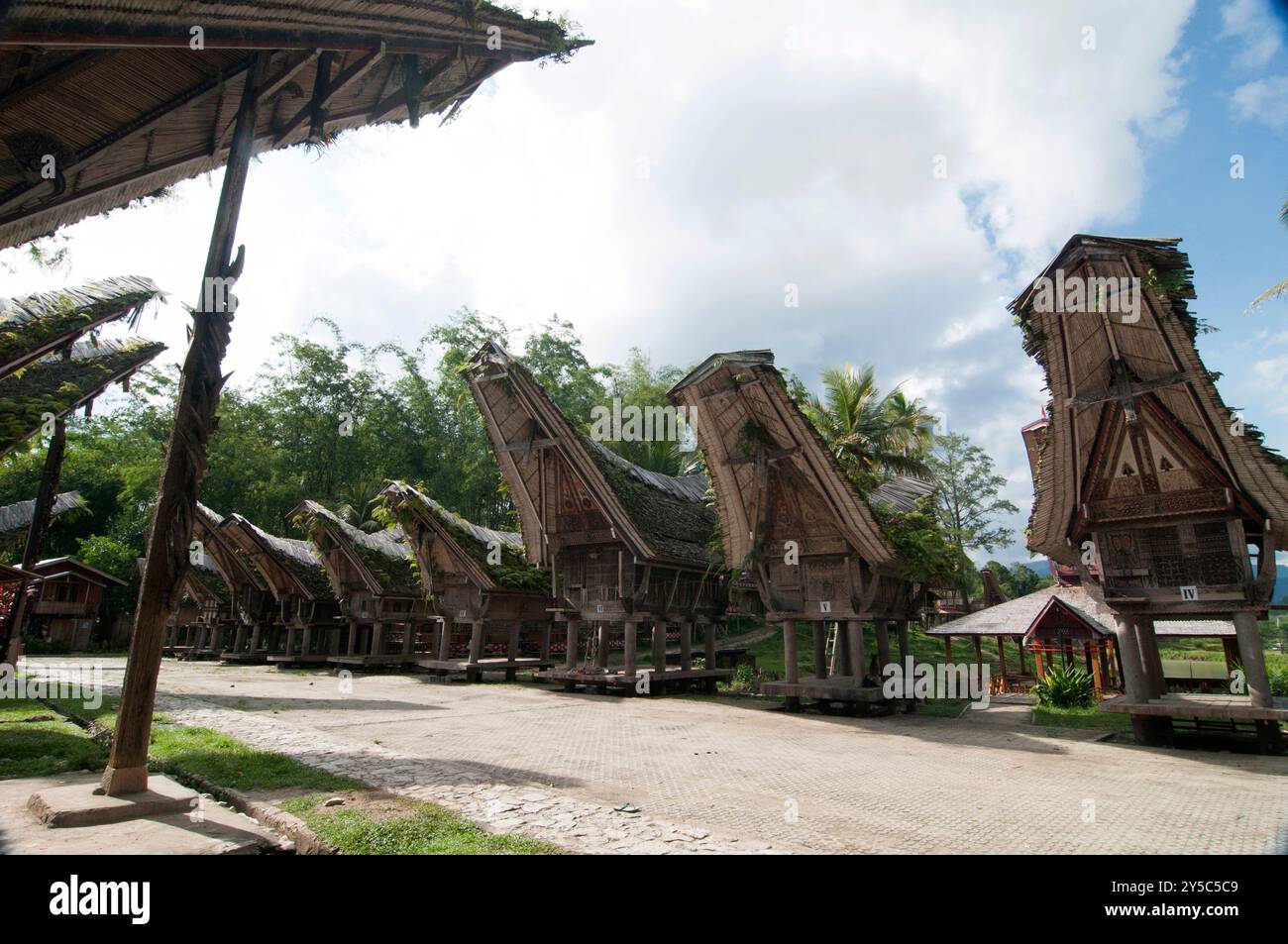 Tongkonan is traditional house of the Toraja tribe of South Sulawesi ...