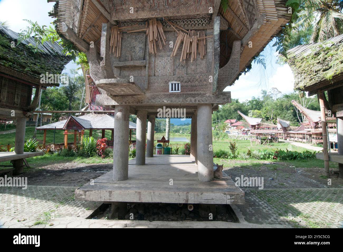 Tongkonan is traditional house of the Toraja tribe of South Sulawesi ...