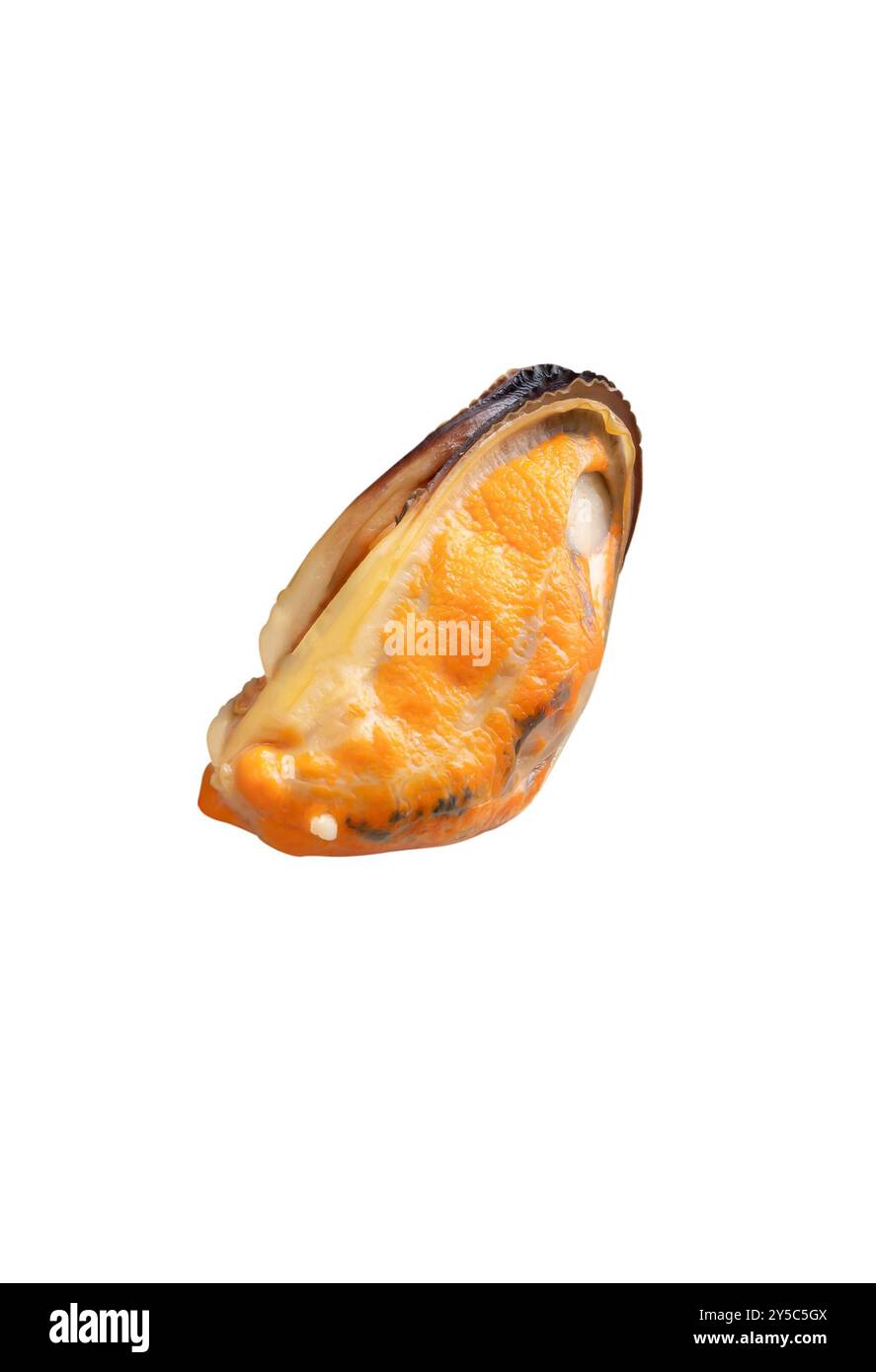 Top view of steamed or cooked delicious green mussel meat is isolated ...